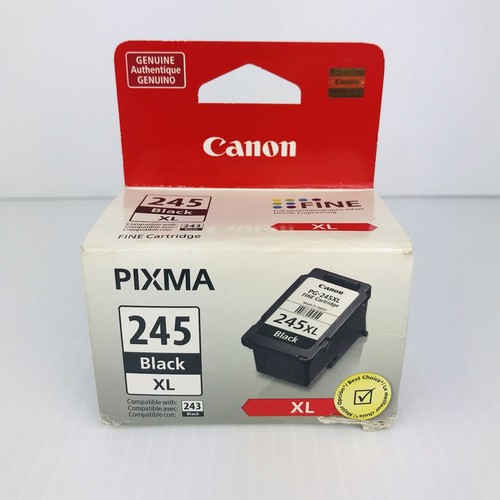 Canon Genuine Ink 245XL Black Pixma Ink Fine Cartridge FREE SHIPPING | eBay