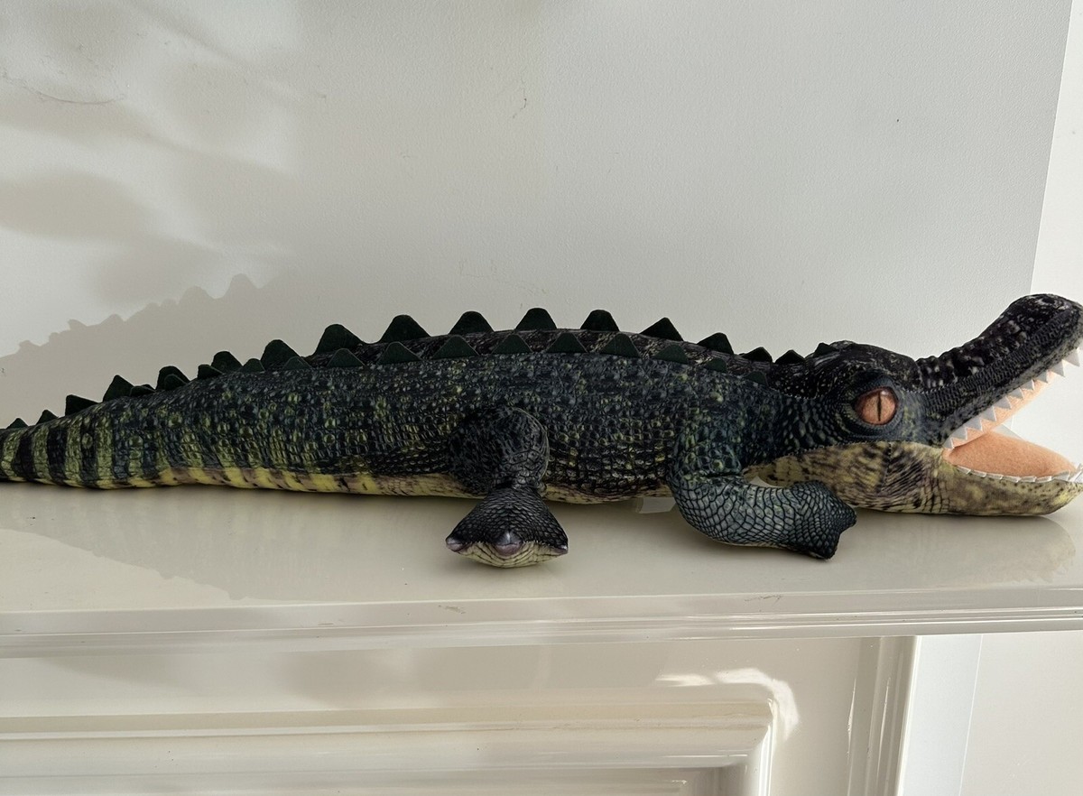 Cassius The Crocodile
