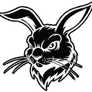 Fat Rabbit Customs | eBay Stores