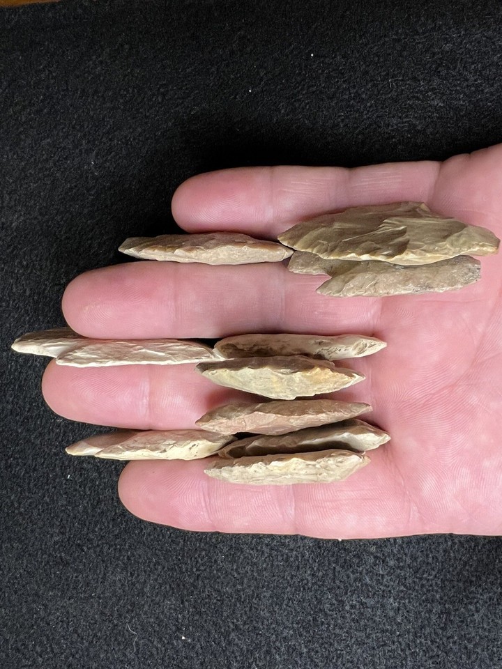 10 Piece Ancient Authentic Arrowhead Collection From Southern Missouri ...