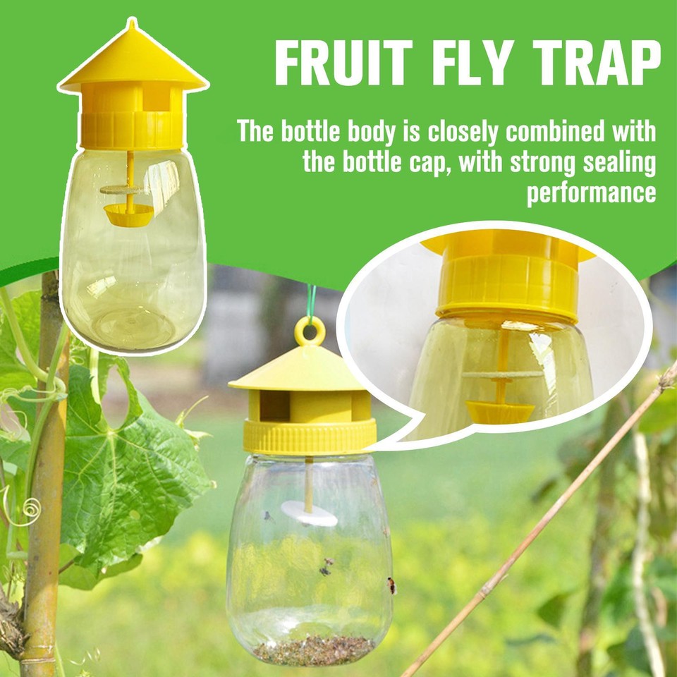Reusable Fruit Fly Trap Killer Yellow Cage Drosophila Trap Fly Catchers ...