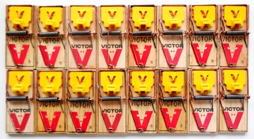 16 Victor Mouse Snap Traps with Plastic Trigger Plate - Models M035 ...