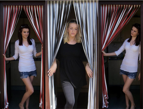 Coloured Heavy Duty PVC Strip Fly Door Curtain Indoor Flying Insect ...