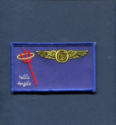 VMFA-321 Hells Anges Naval Personnel Navigant Usmc Escadron Nom Balise ...