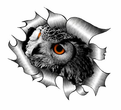 LARGE CLASSIC Ripped Torn Metal Rip & Eagle Owl Bird Of Prey Vinyl Car ...