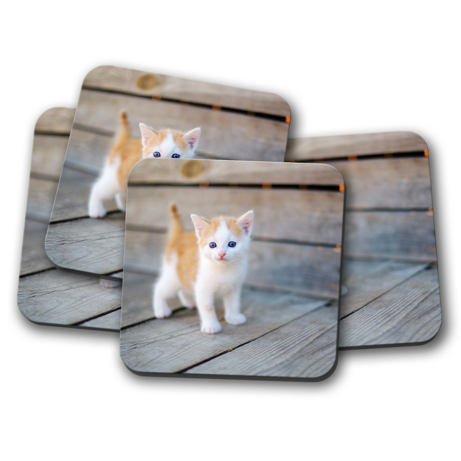 4 Set - Cute Ginger Kitten Coaster - Cat Baby Animal Pet Kids Cats Gift ...