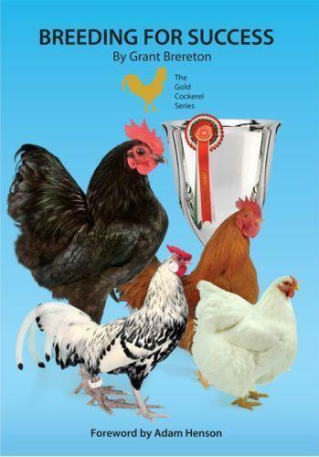 Breeding For Success (Grant Brereton) NEW CHICKEN POULTRY BOOK GCBJ ...