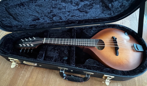 Breedlove Premier OO Vintage Burst Mandolin | eBay