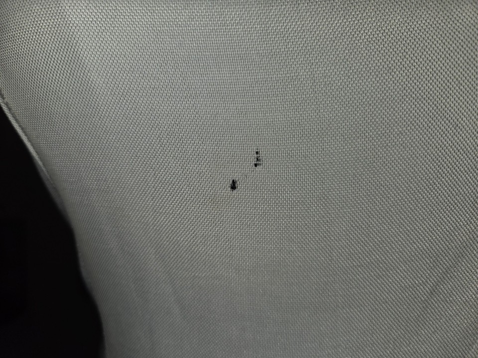 Marilyn Monroe Owned & Worn White Cotton Dress from Secretary May Reis ...