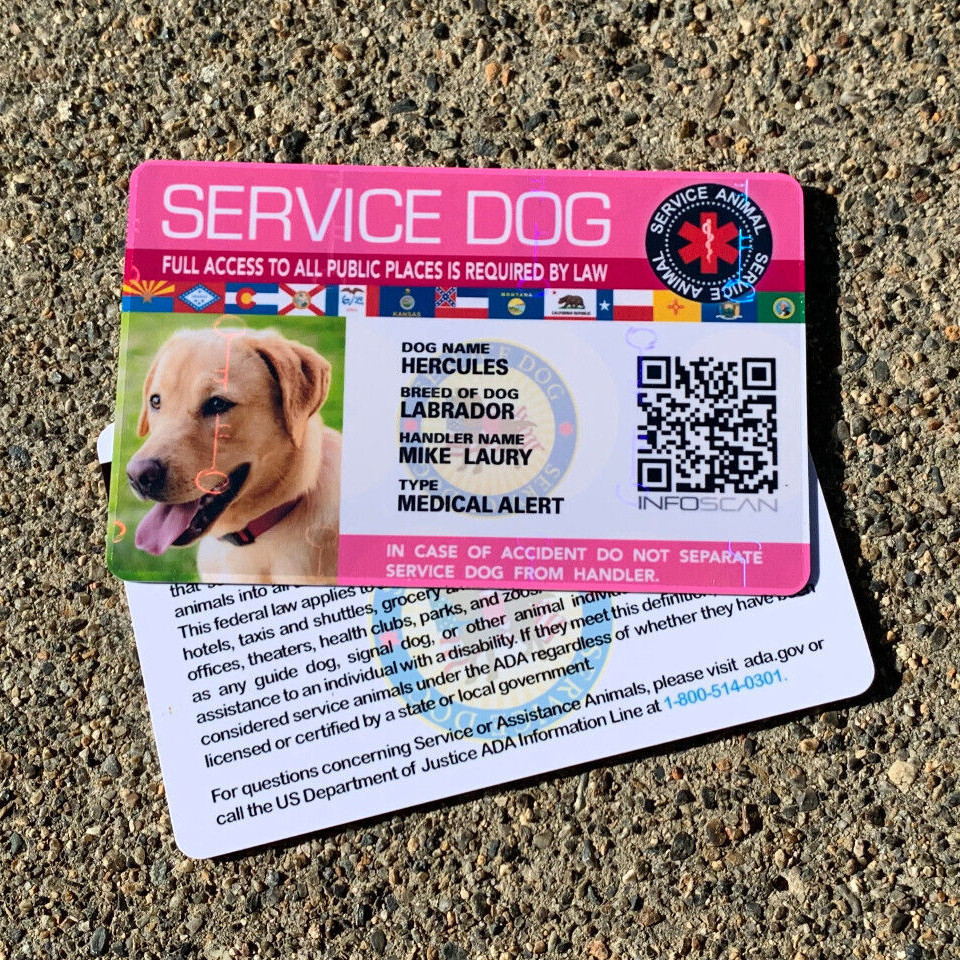 ADA Service Dog Card ID Badge Assistance Animal Badge ESA Holographic ...