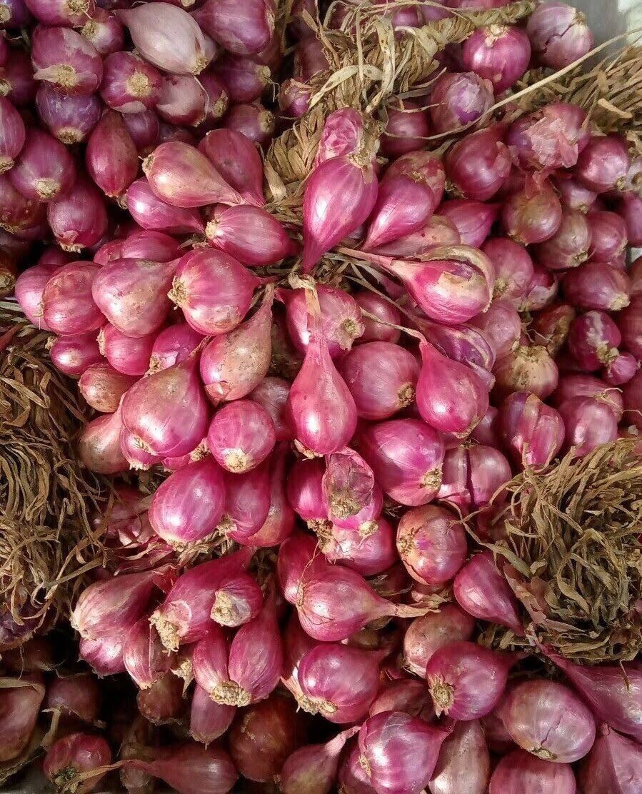 FRESH Small Onion Indian (Shallots) 200g - (Free UK Post) Uk Seller | eBay