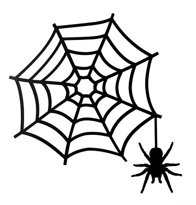 Spider Web,Halloween Vinyl Decal Sticker for window,car,van,truck,etc ...