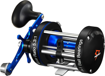 Round Baitcasting Fishing Trolling Reel Reinforced Metal Body 60 Right ...