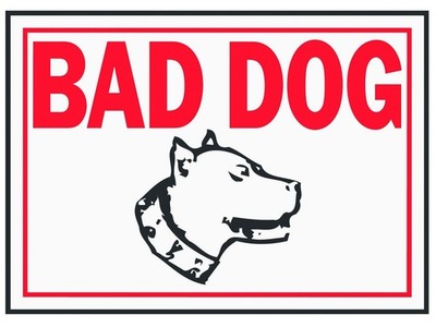 Custom Bad Dog Aluminum Sign 10" x 14" - Red and White Warning Decor | eBay