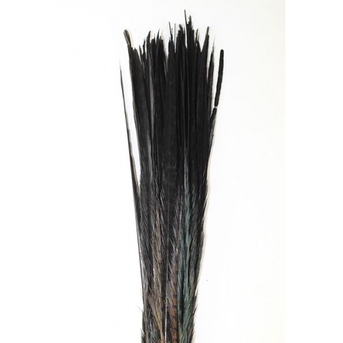 DYED ENGLISH RINGNECK Pheasant Feathers 20-26" MANY COLORS! Costume ...
