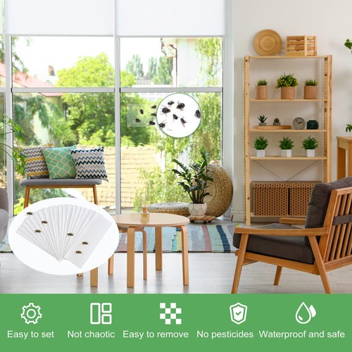 20pcs Window Fly Traps Transparent Catch Fly Indoor Pesticide-free ...