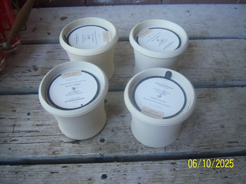 Lot Of 4 Threshold 1-Wick 12.7 oz Citronella Scent Candles Outdoor Use ...