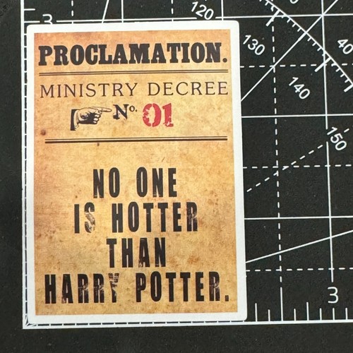 Harry Potter PROCLAMATION No.01 No One Hotter - HP Decal Vinyl Sticker ...