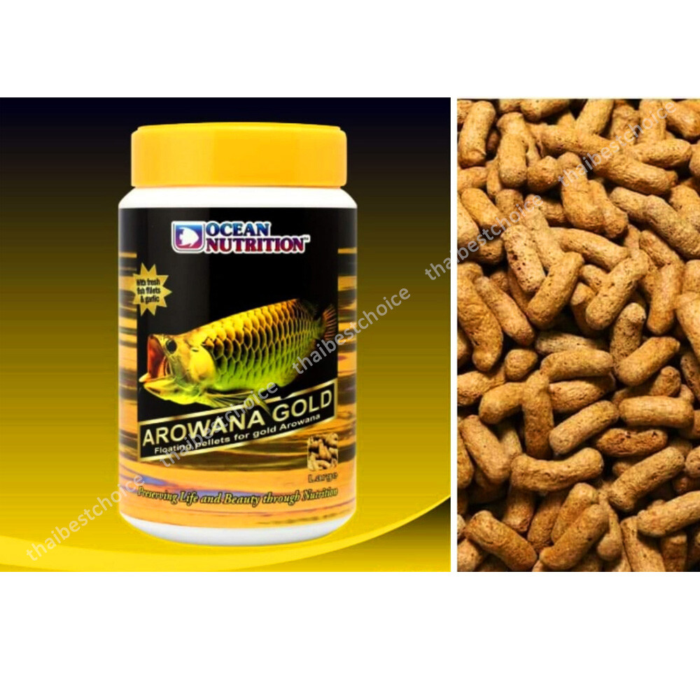 Arowana Fish Food