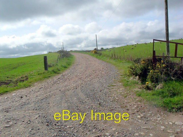 Photo 6x4 Track to Bracklamore New Byth View northwest c2007 | eBay UK