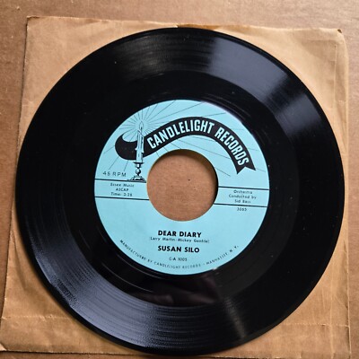 SUSAN SILO Dear Diary/Don't Ever Cheat 45 7" Record Vinyl OBSCURE RARE ...