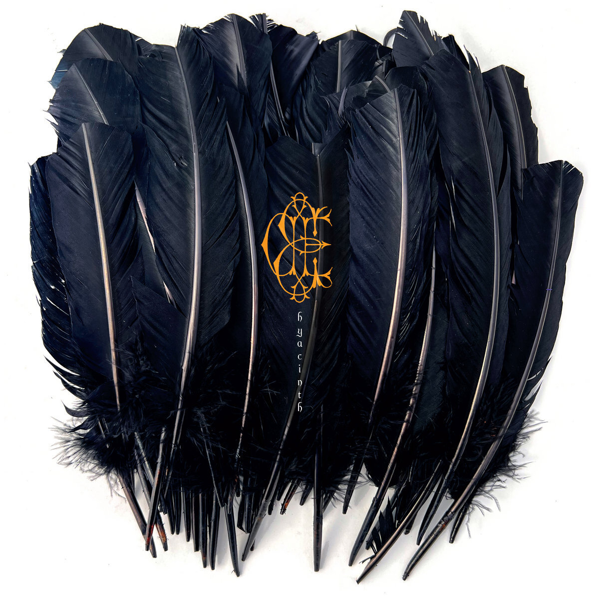 David Eugene Edwards Hyacinth (Vinyl) 12" Album | eBay