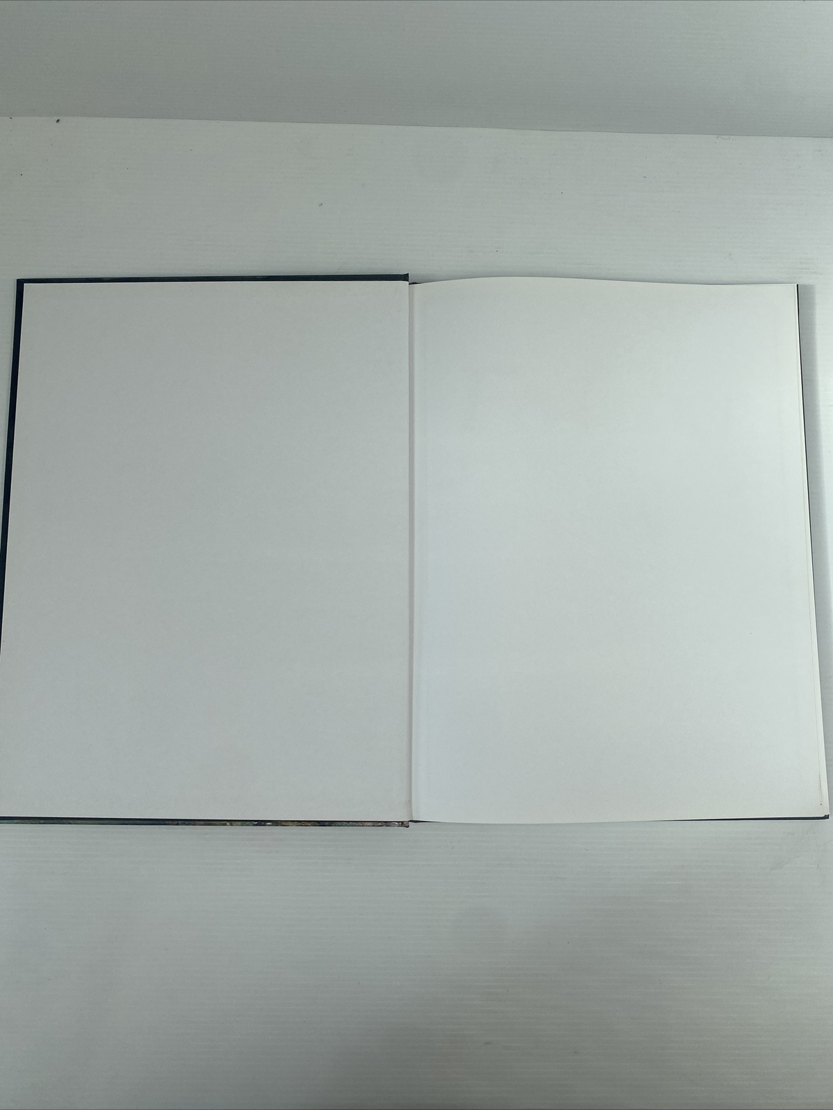 The Flyfisher by Bill & Helen Classon Volume Nine Book 9781865130620 | eBay