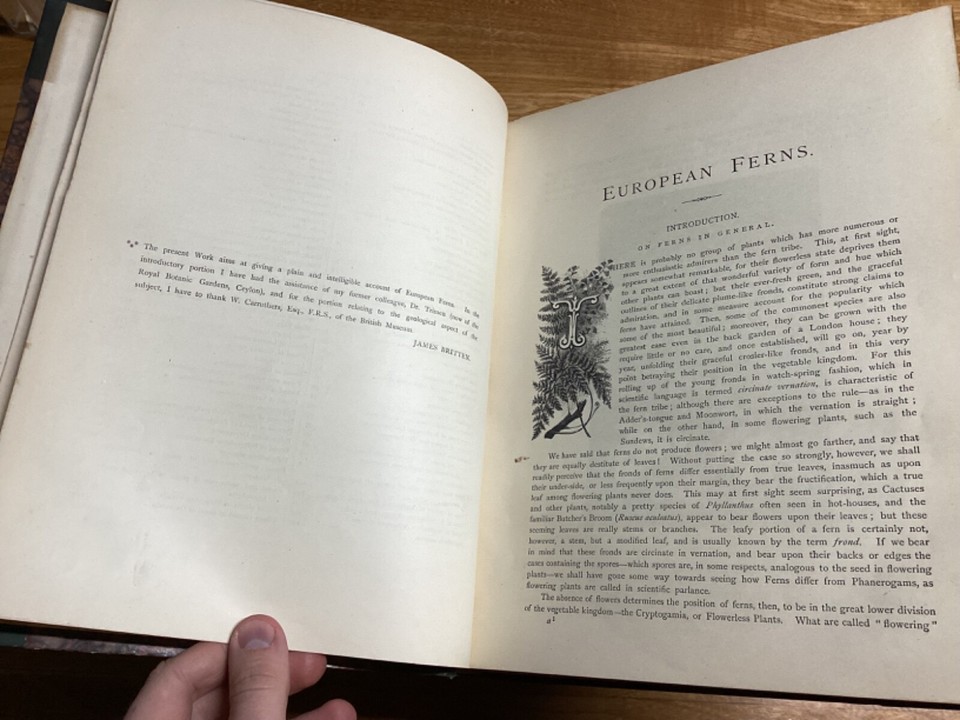 1881 European Ferns - James Britten - Rare Botanical Volume With ...