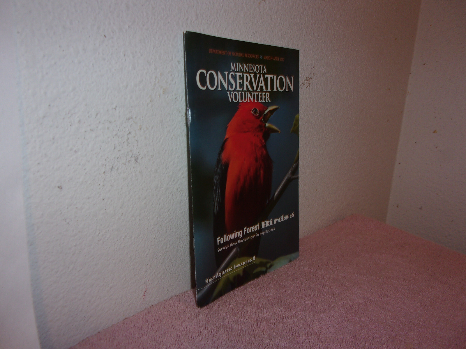 MINNESOTA CONSERVATION VOLUNTEER MAGAZINE."FOREST BIRDS" MARCH / APRIL ...