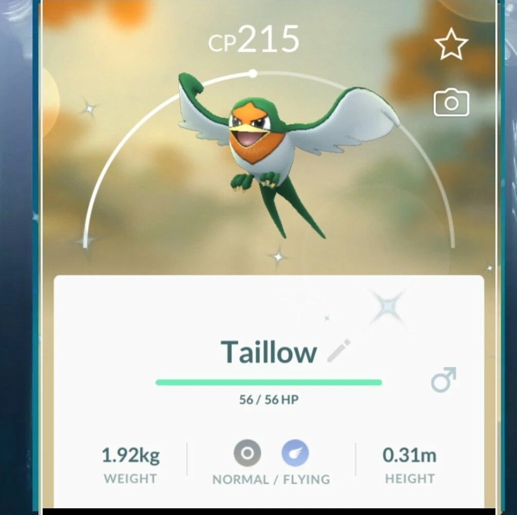 Taillow Evolution