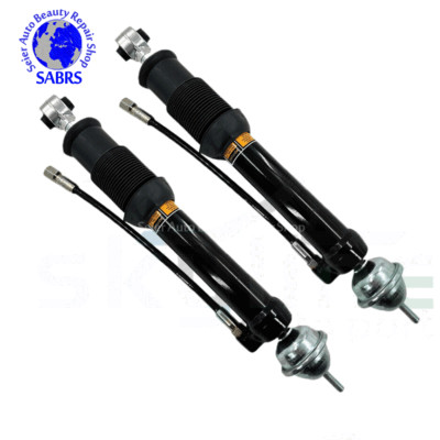 Pair Rear Hydraulic Shock Absorbers Struts For Mercedes W140 S500 S600 ...