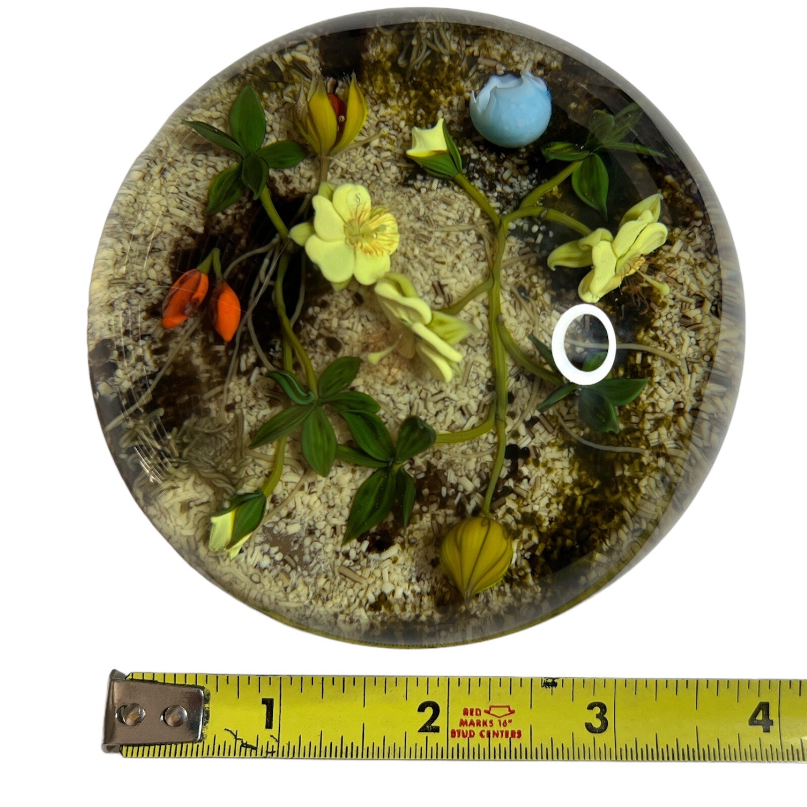 Vintage Paul Joseph Stankard Botanical Handblown Glass Paperweight A193 ...