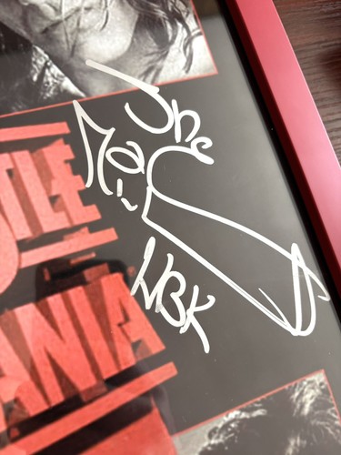 Signed Wrestlemania XIV Poster! Austin, HBK, Tyson, Taker, Kane WWE WWF ...