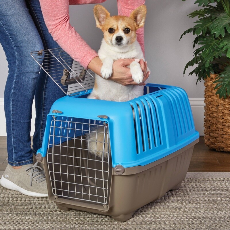 Portable Dog Carrier Travel Dog Cat Small Animal Hard Sided Carrier ...