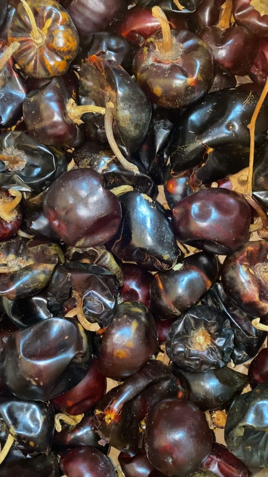 Dried Cascabel Chili Pepper (Chile Cascabel) 4 oz, 8 oz, and 1 lb!! | eBay