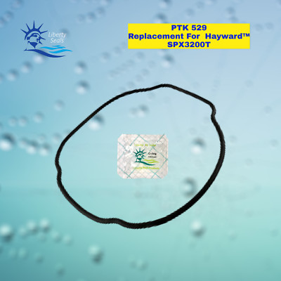 SPX3200T O-ring Fits TriStar EcoStar Pool Pump Housing Gasket O-Ring ...