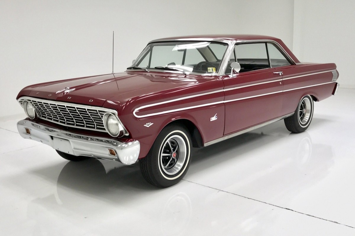 Maroon Falcon