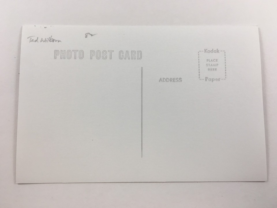 Ted Wilborn (1982) New York Yankees Vintage Baseball Postcard NYY | eBay