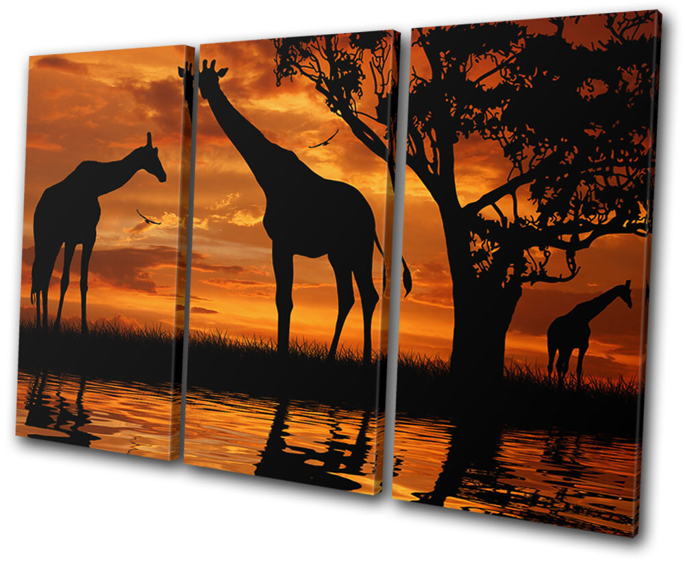 African Animal Sunset Silhouettes Poster Silhouettes Of African Wild