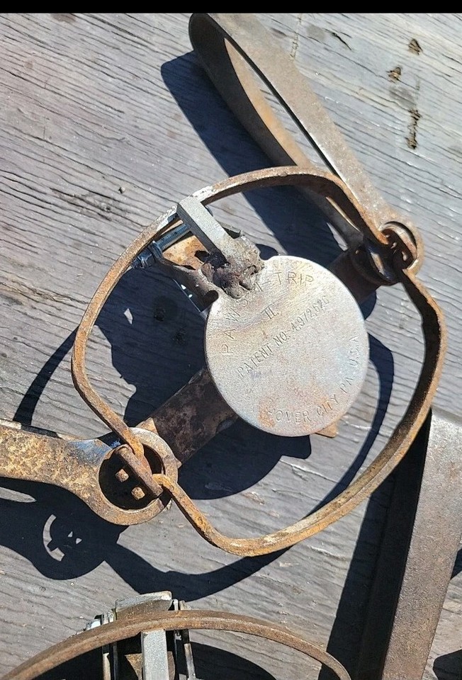 Victor Number 4 Longspring Foothold Traps Vintage Trapping Modified ...
