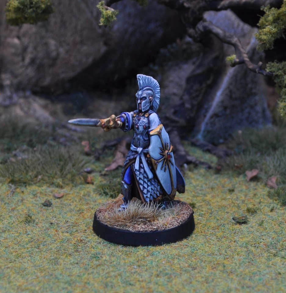 Otherworld Miniatures D&D Mini - HIGH ELF CAPTAIN (RARE D&D FIGURE and ...