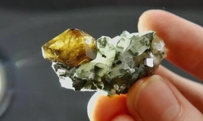 4.2cm GEM Cassiterite on Quartz Specimen - Amo Tin Deposit, Yunnan ...