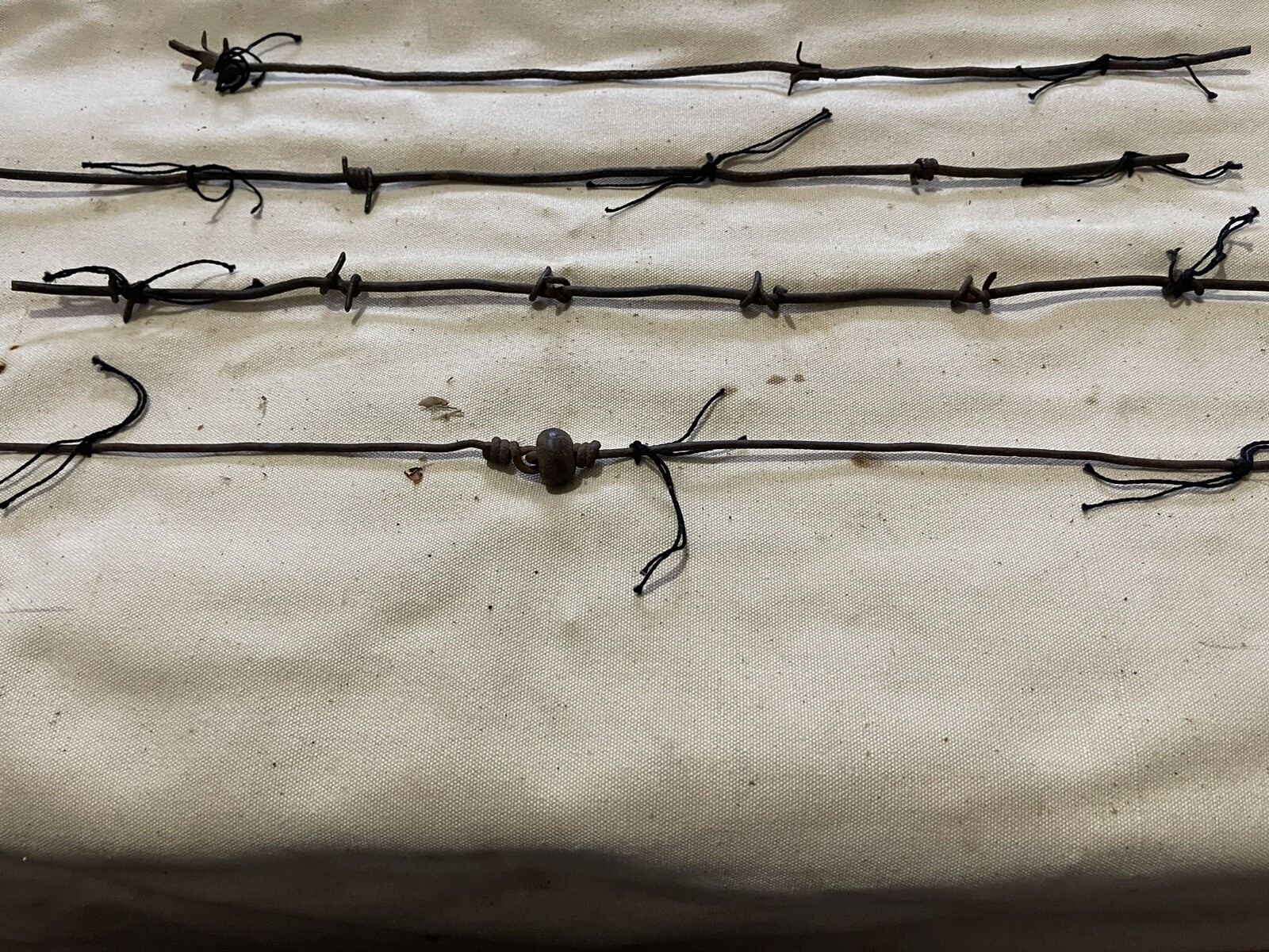 21 RARE SECTIONS of TEXAS BARBED WIRE - A Rare, Unique Collection | eBay