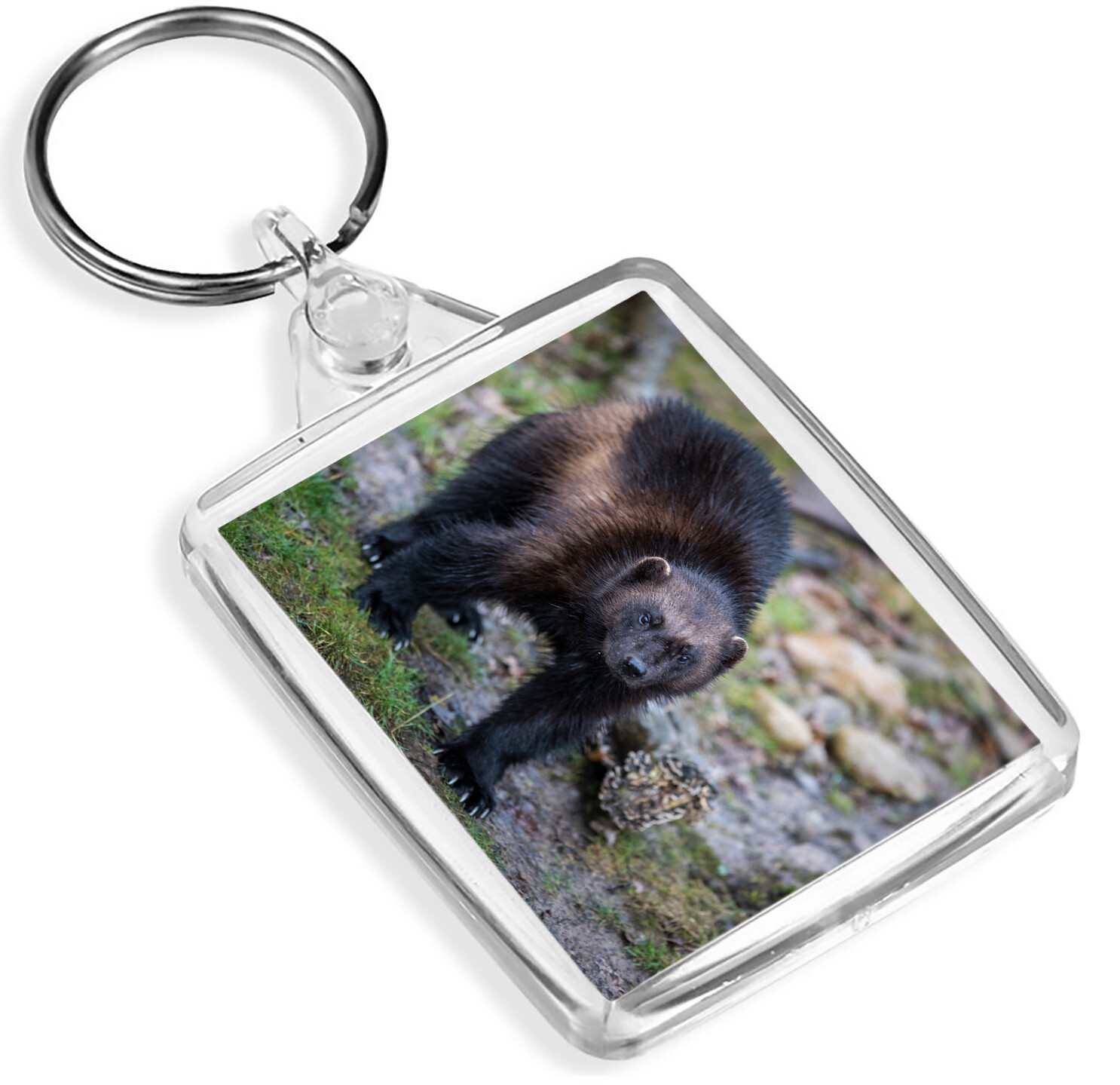 Gloton Animal Wolverine Keyring - IP02 - Beautiful Wild Animal Cool ...