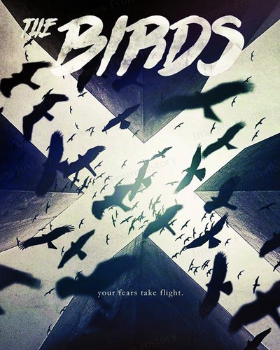 8x10 Print Anders T. Andersen Torstein Bjorkund The Birds 2019 #PSBD | eBay