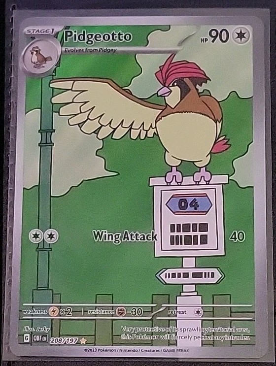 Pokemon TCG Illustration Rare IR Lot Pidgeotto, Wooloo, Delibird ...