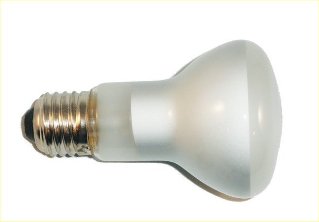 Universal 50W Popcorn Popper Machine Replacement Heat Warming Light ...