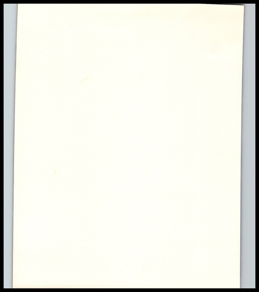 Hollywood Beauty BARBARA LANG LEGGY CHEESECAKE 1950s PORTRAIT Photo 705 ...