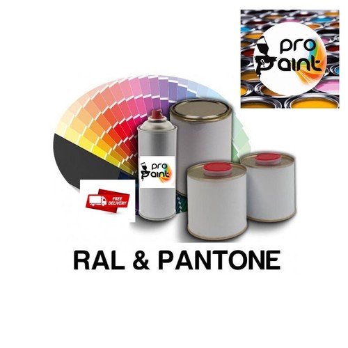 RAL RDS 090 80 20 Champagne beige 2K ACRYLIC TOP GLOSS SOLID PAINT ...