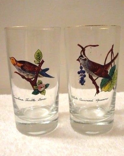 2pc Bird Highball Glass White Crowned Sparrow & Carolina Turtle Dove 12 ...